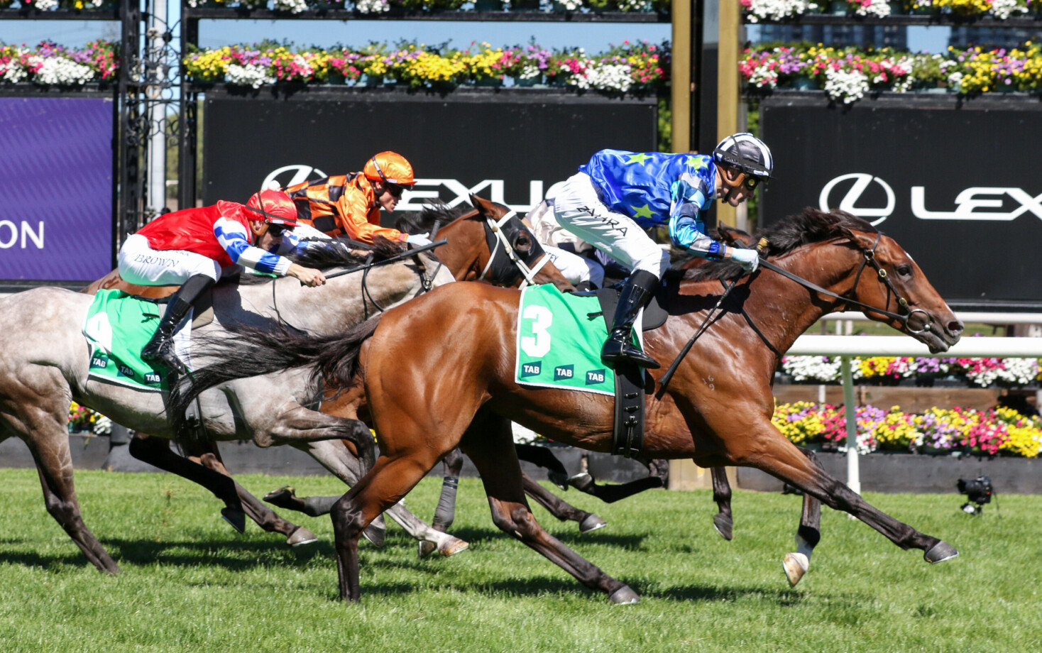 Middle Earth a clear favourite in early JRA Cup odds | Just Horse Racing