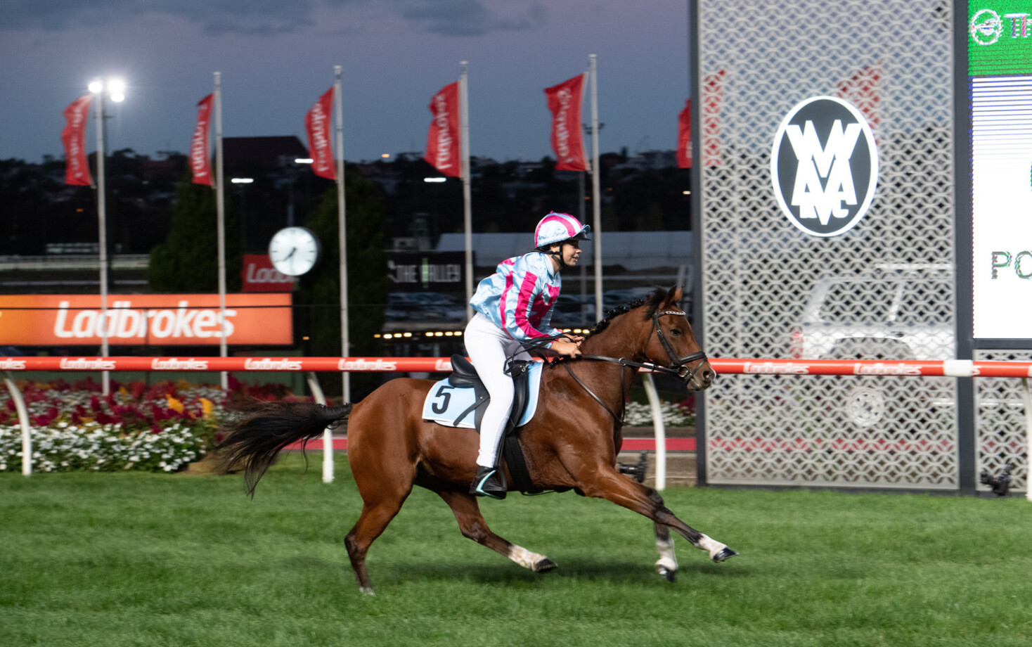 Gold Coast Finals of the National Pony Racing Series | Just Horse Racing