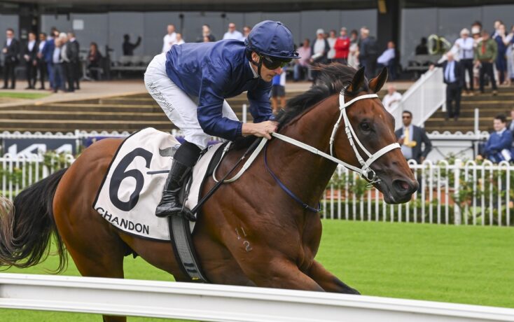 Golden Slipper 2025 – Yearling Sales Prices, Horse Cost, Breeding ...