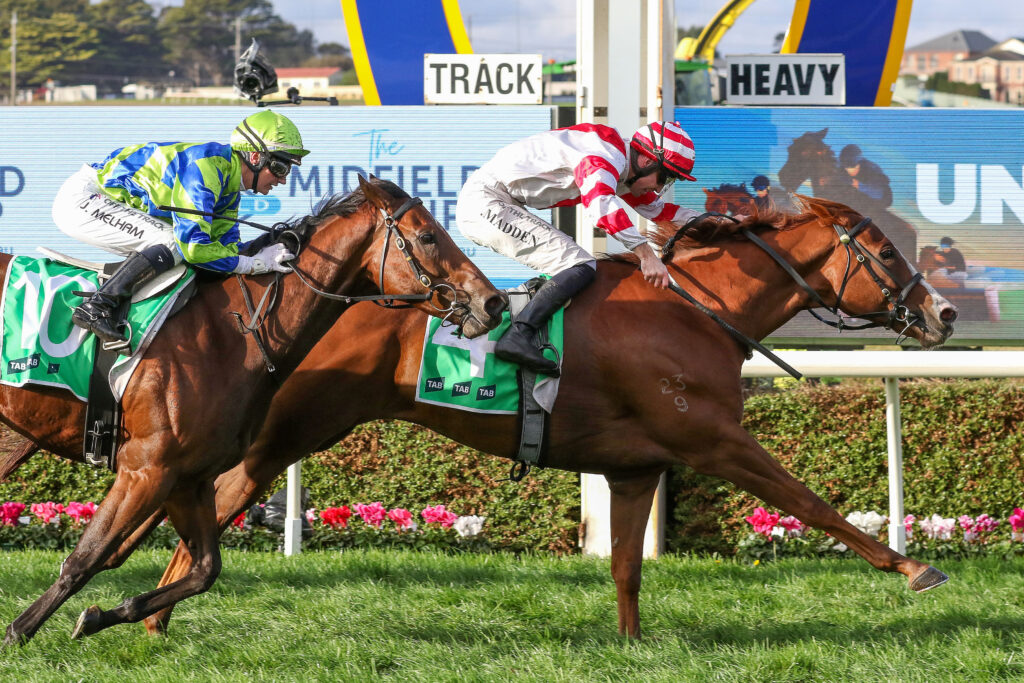 Golden Topaz Field & Odds – 2026 | Just Horse Racing
