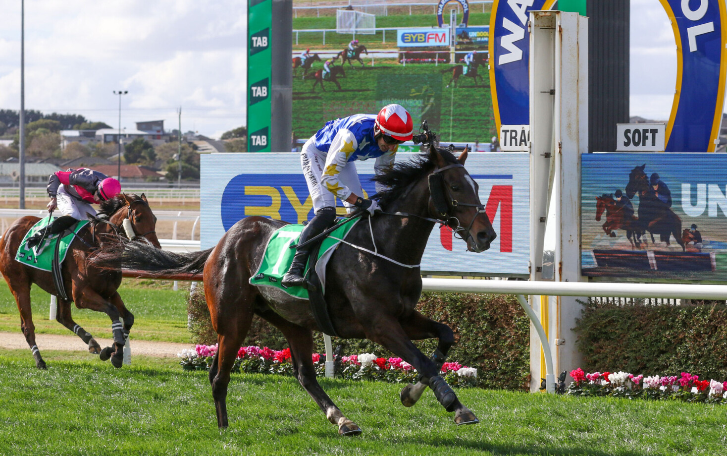Bobbin jumper Duke of the Bool | Just Horse Racing