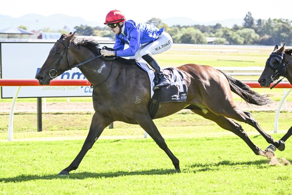 Flying Embers out to continue winning form | Just Horse Racing