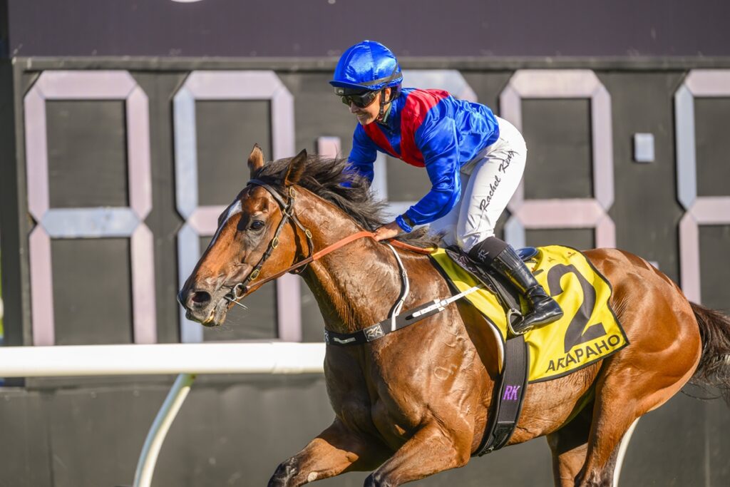 Sydney Cup winner eyes the Caulfield Cup and Melbourne Cup | Just Horse ...