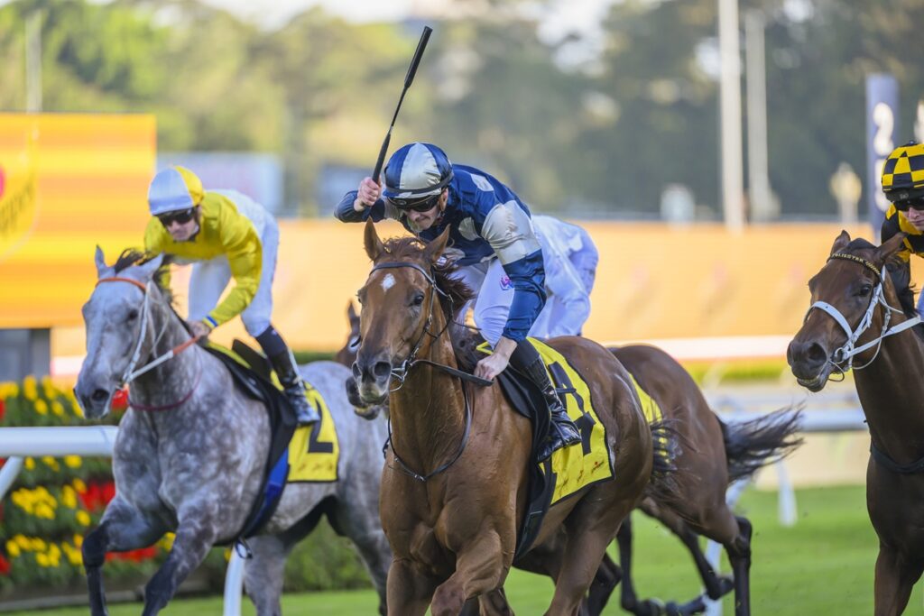 Jimmy set to sstar again in Brisbane | Just Horse Racing