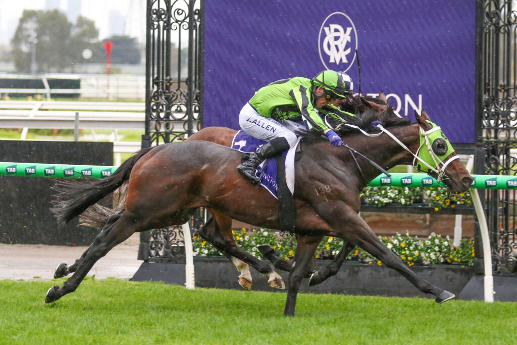 Andrew Ramsden Stakes Field & Odds – 2026 | Just Horse Racing
