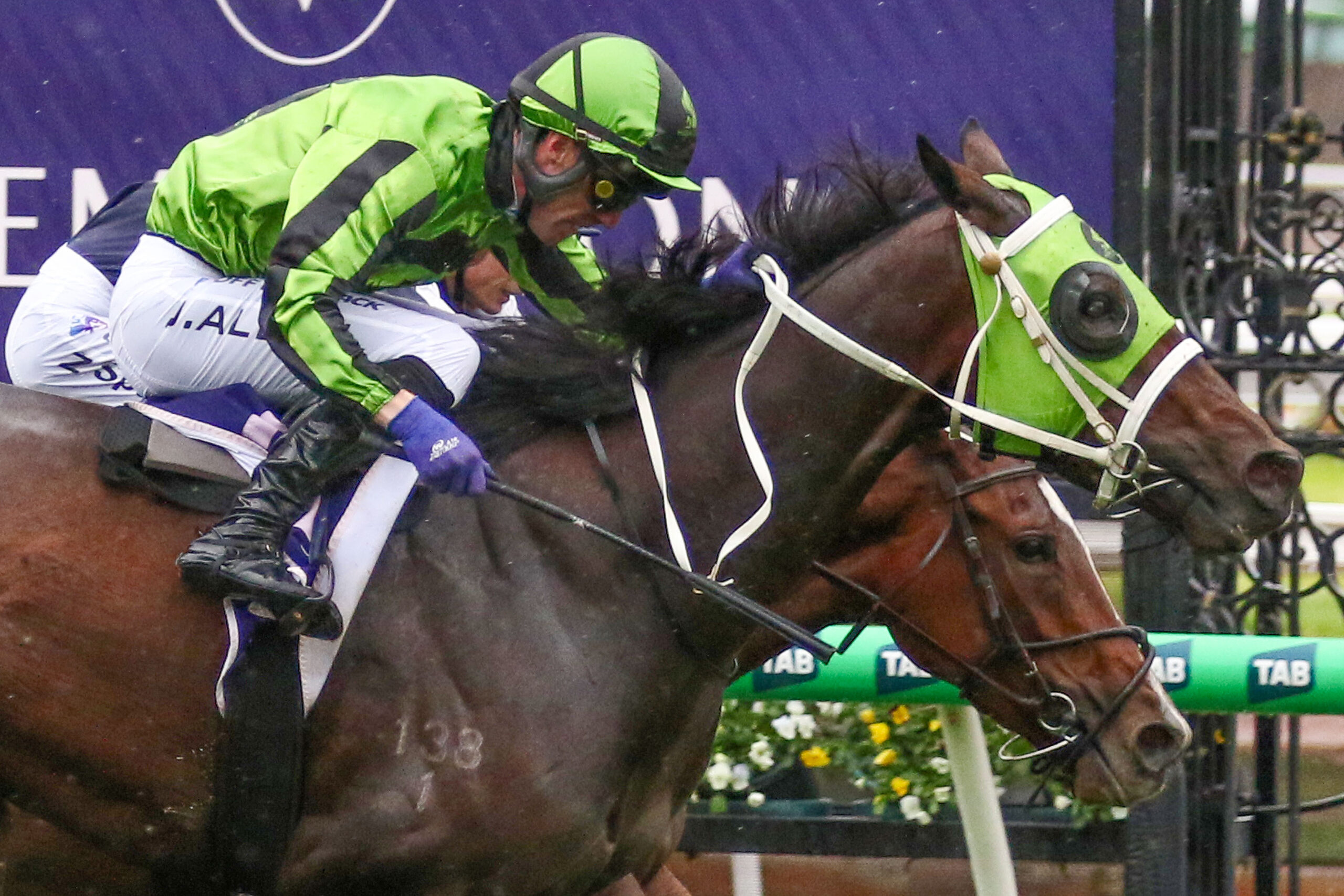 American Wolf hunts down Highland Bling to win Adelaide Cup | Just ...