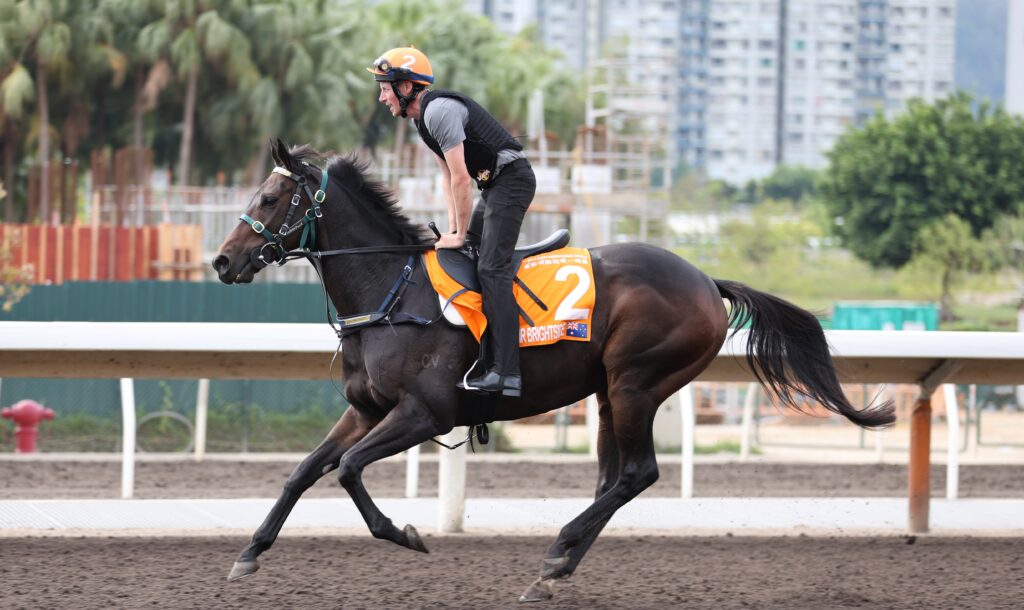 Mr Brightside settles in Ahead of Champions Mile bid | Just Horse Racing