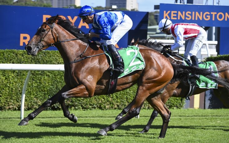 Call Di stars in Day 2 of Magic Millions National Broodmare Sale | Just ...