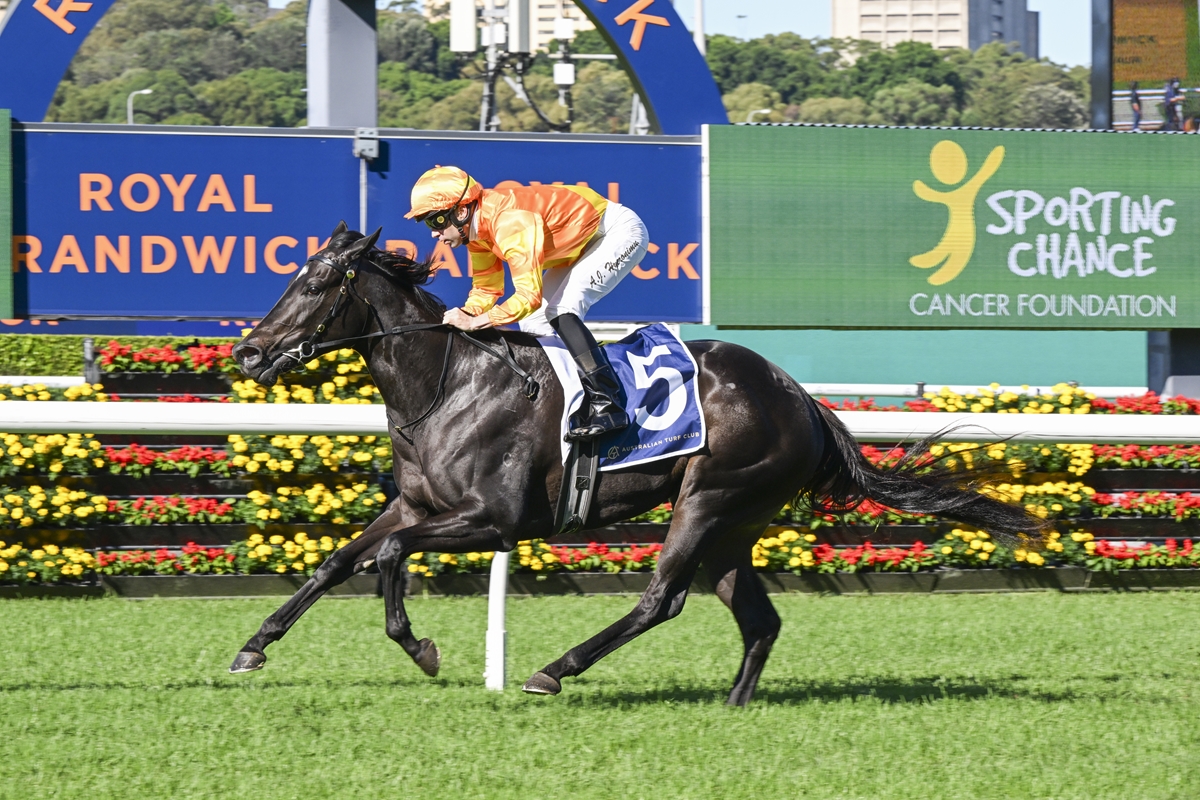 Denise’s Joy Stakes nominations – 2026 | Just Horse Racing