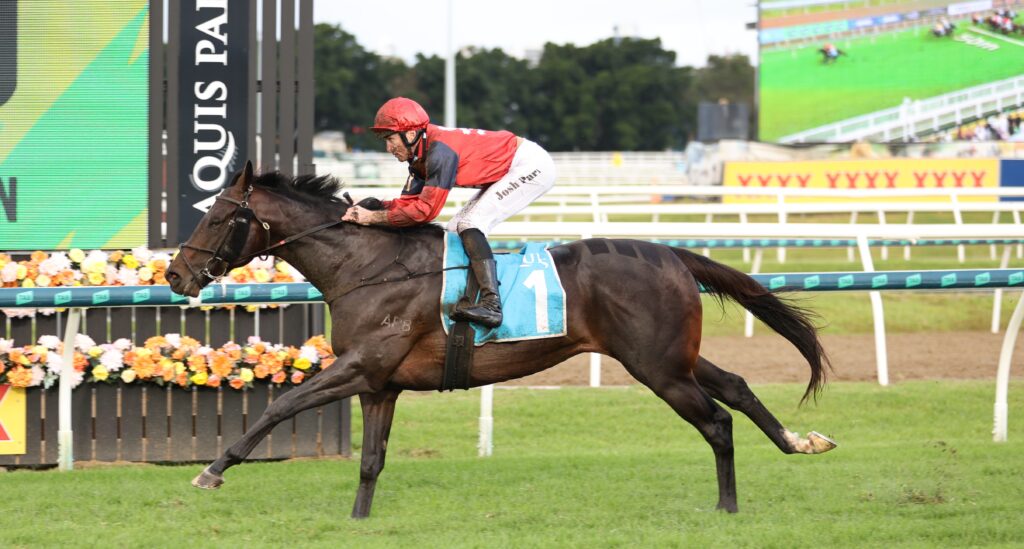 Bosustow scores emphatic win in Gold Coast Guineas | Just Horse Racing