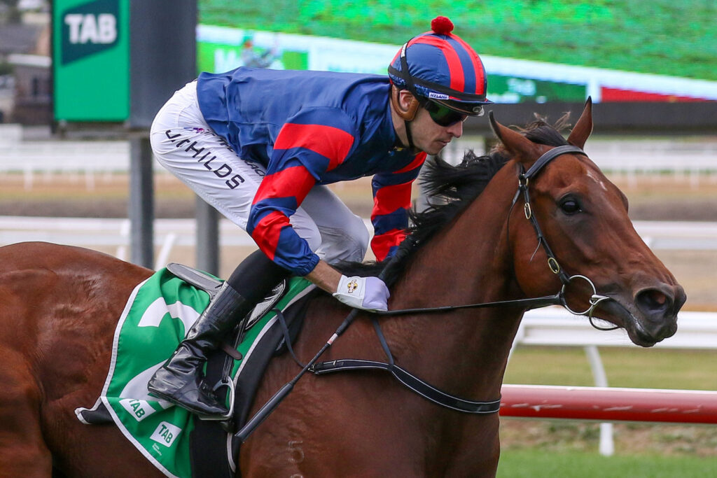 Yulong buys G3 winner Cleo Cat | Just Horse Racing