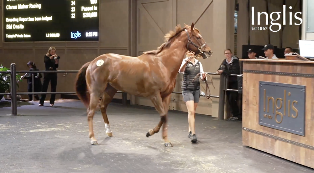 Watch 📺 Champion mare Bella Nipotina sells for $4.2million at Inglis ...