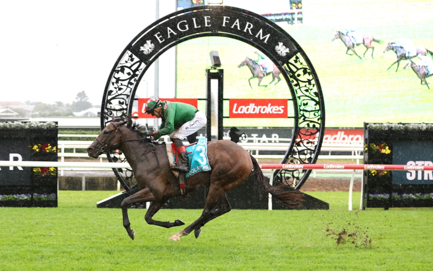 Cool ‘as a cucumber’ Archie aims at JJ Atkins Stakes | Just Horse Racing