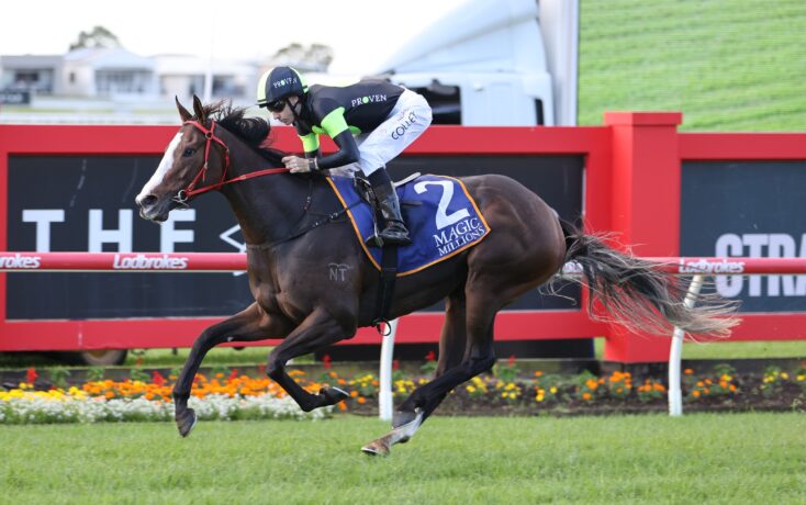 Bob Charley AO Stakes Field & Odds – 2025 | Just Horse Racing