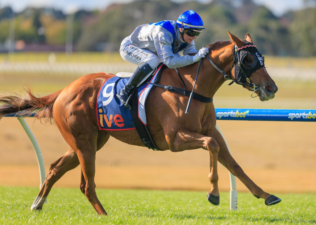 Dane Ripper Stakes nominations – 2026 | Just Horse Racing