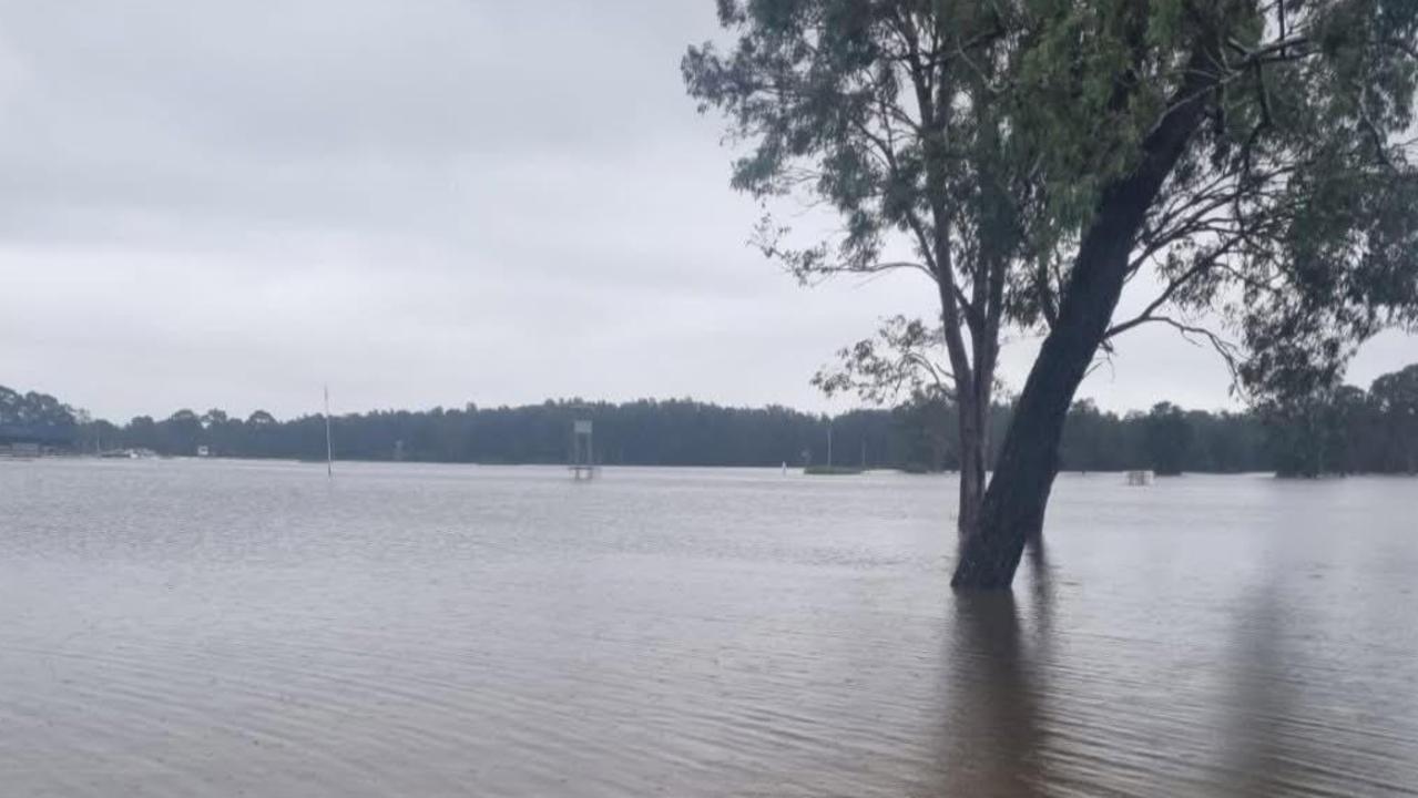 Taree racecourse under water following record-breaking floods | Just ...