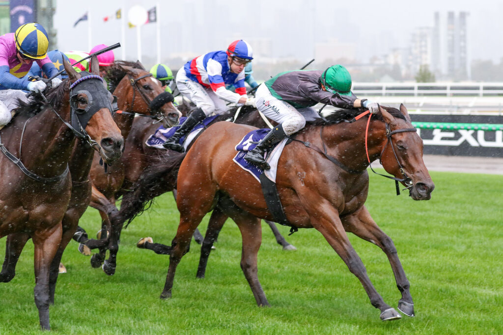 Title Fighter back for another Straight Six tilt | Just Horse Racing