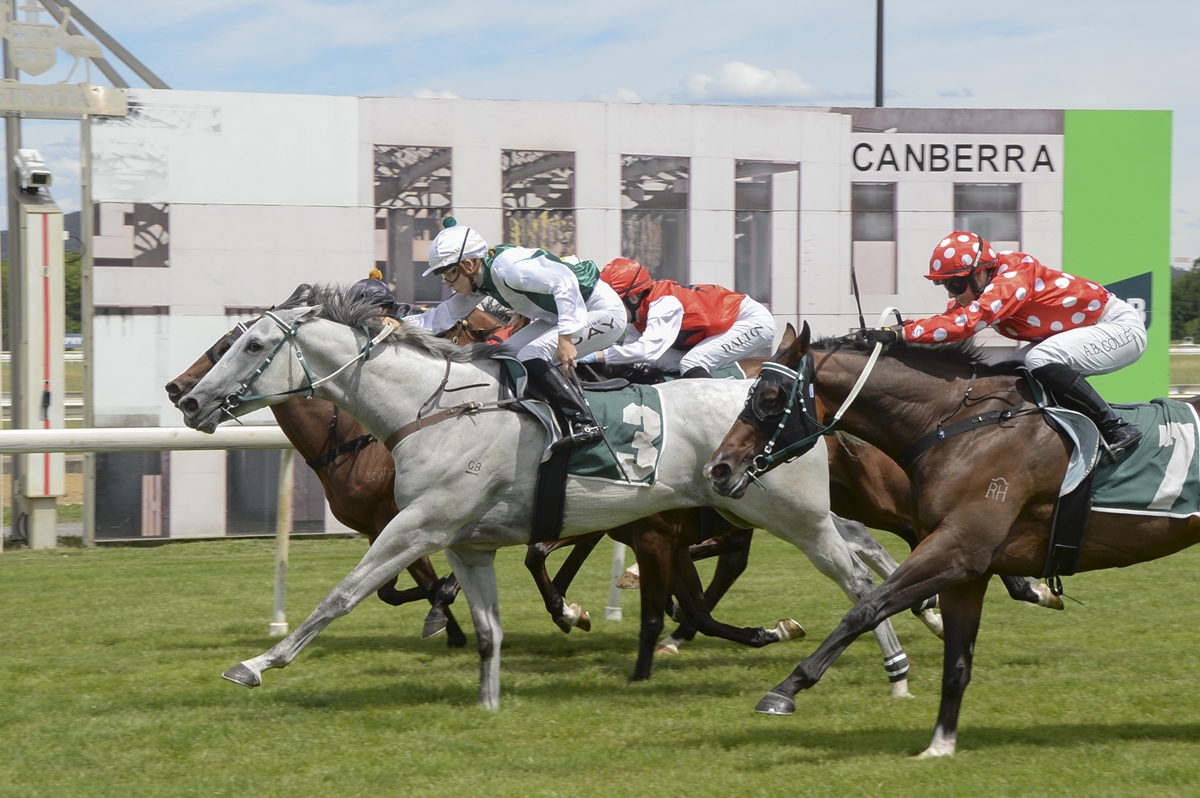 Matt Smith hoping for winter Icebreaker | Just Horse Racing
