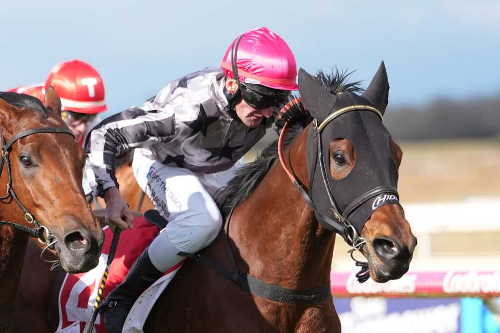 Successful team strike again | Just Horse Racing