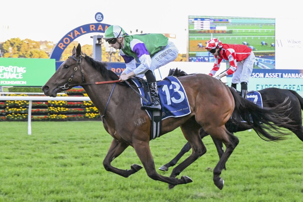 Miss Kim Kar keeping carnival hopes alive | Just Horse Racing