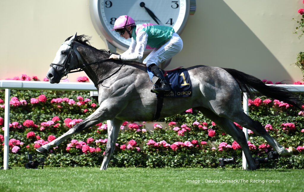 Field Of Gold scores emphatic win in St James’s Palace Stakes | Just ...