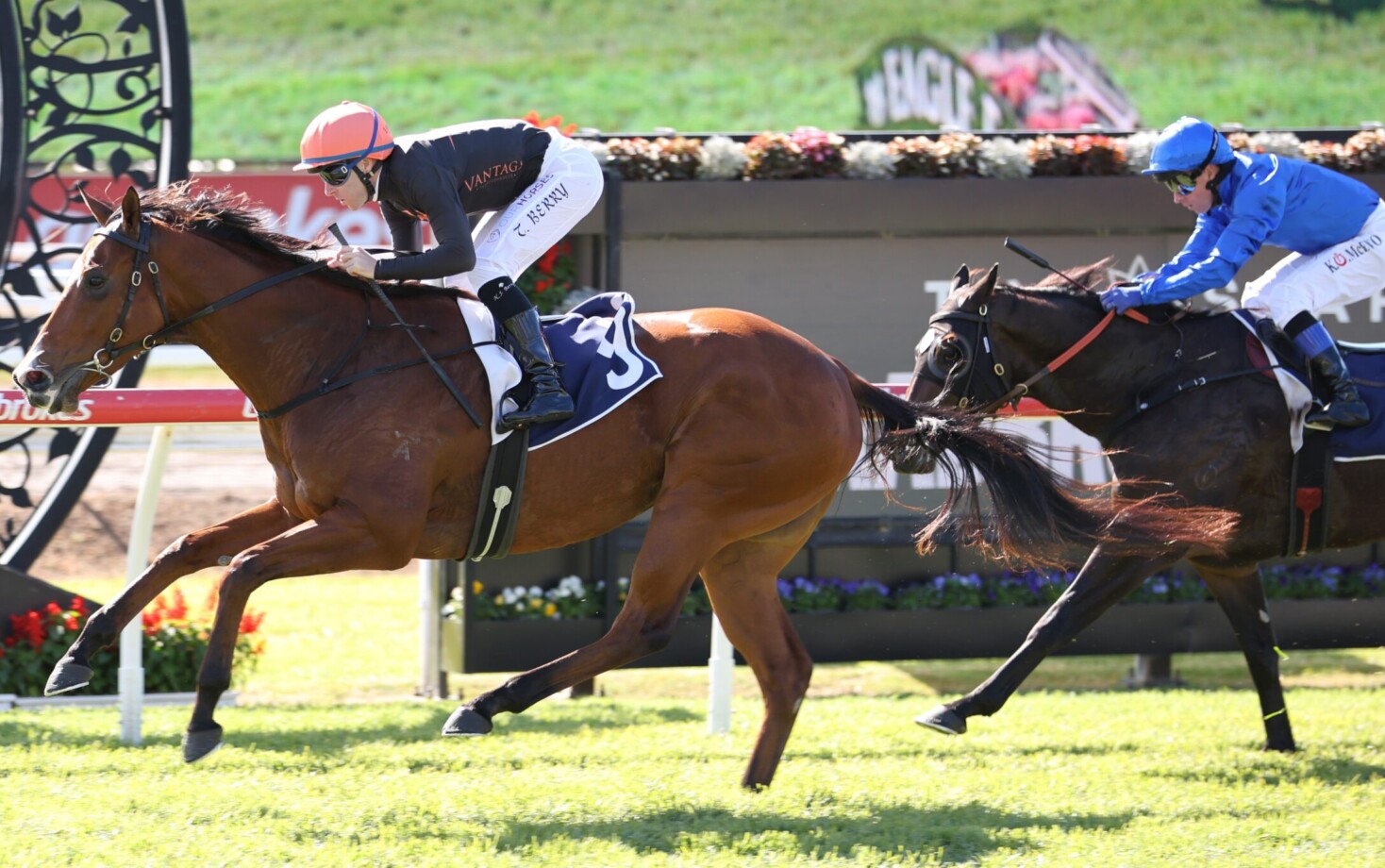 Mona Lisa Stakes Field & Odds – 2025 | Just Horse Racing