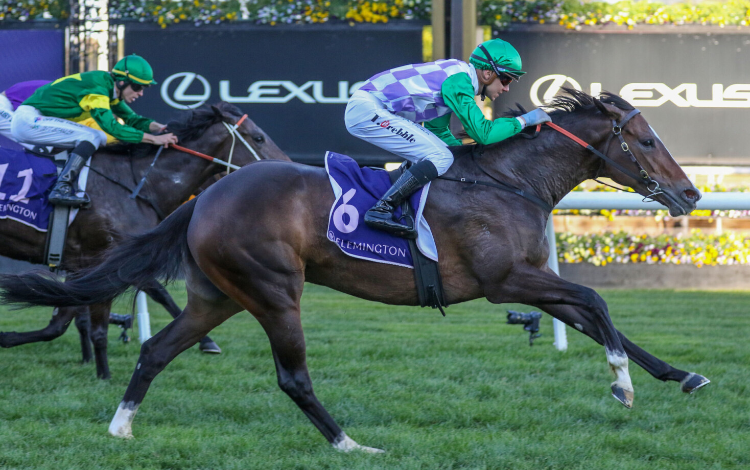 Grahame Begg mare to make a Splash in Empire Rose Stakes | Just Horse ...