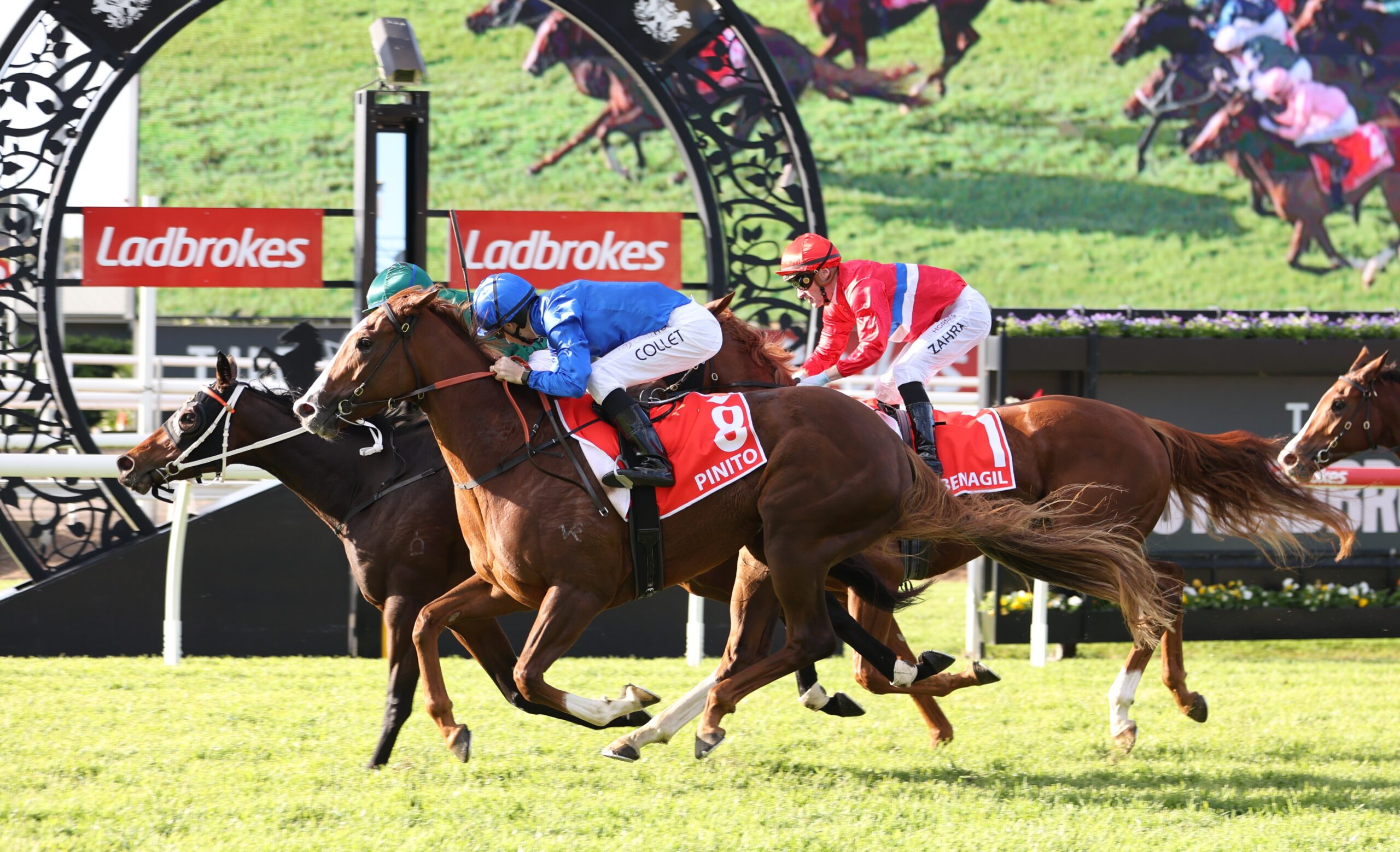 Gosford Cup 2026 – Tips, Field, Betting, Odds and Horse Previews | Just ...