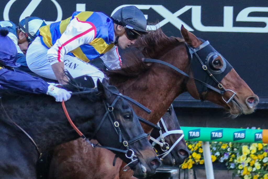 Jimmy gets redemption in Winter Championship Series Final | Just Horse ...