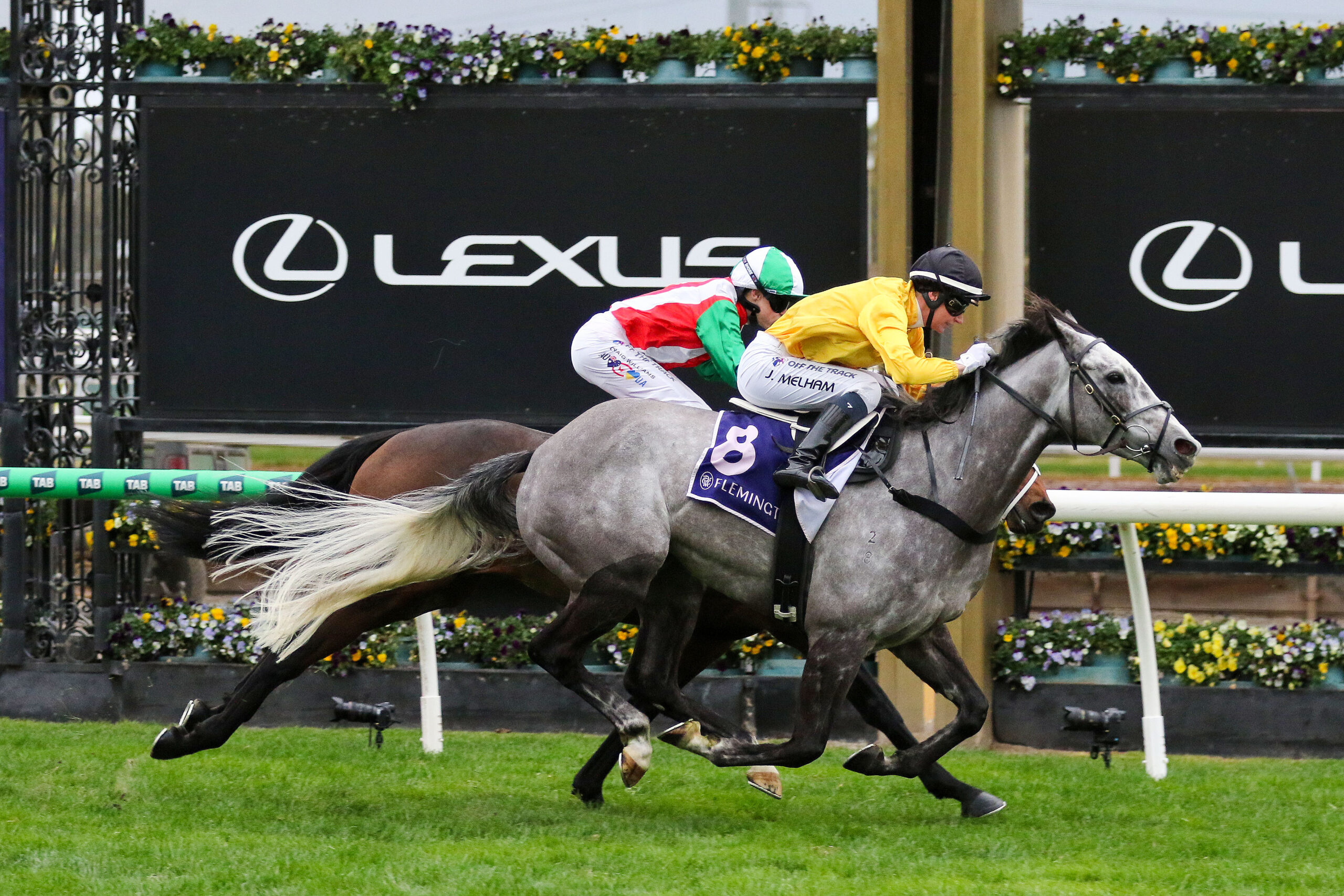 Mormona chasing Melbourne Cup start in Archer Stakes | Just Horse Racing