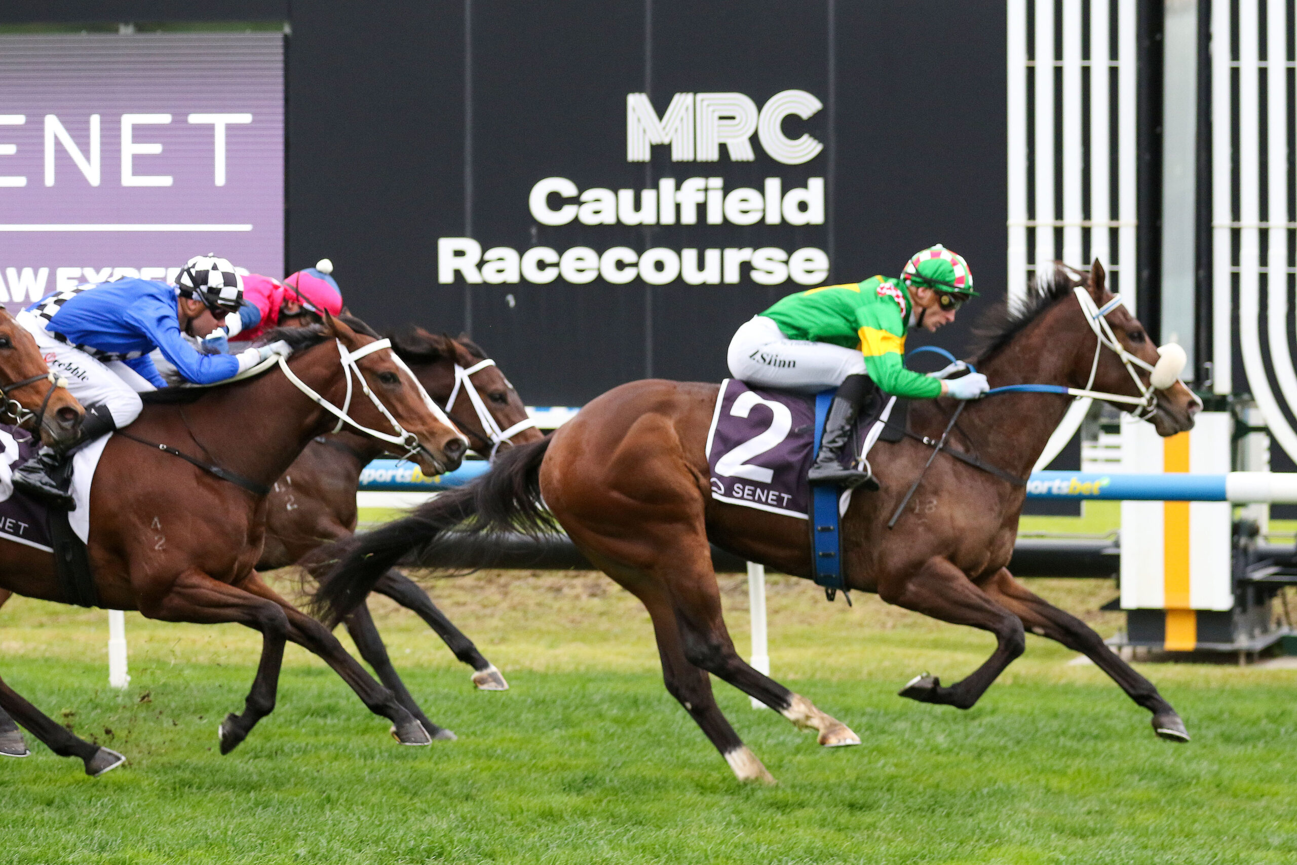 Future bright for untapped Ole Dancer | Just Horse Racing