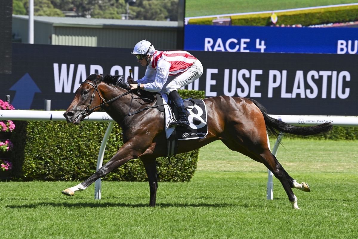 Dark Jewel Classic nominations – 2026 | Just Horse Racing