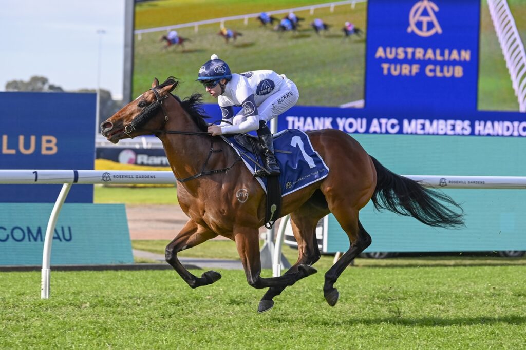 Snowden colts set to be a carnival Force | Just Horse Racing