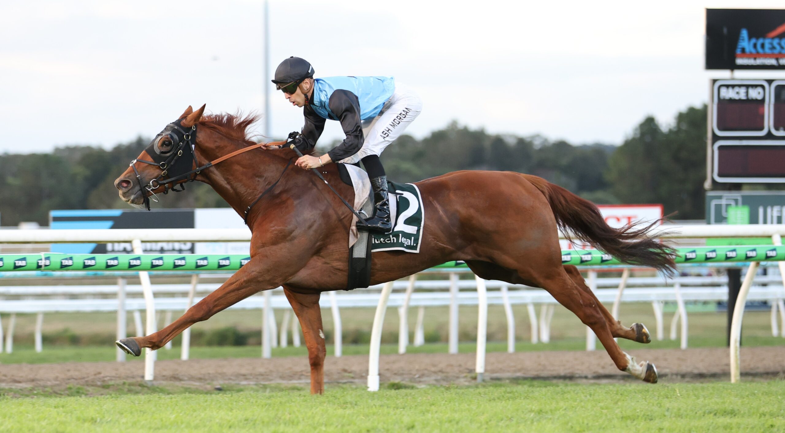 Half Yours eyes Queensland riches after Antino setback | Just Horse Racing