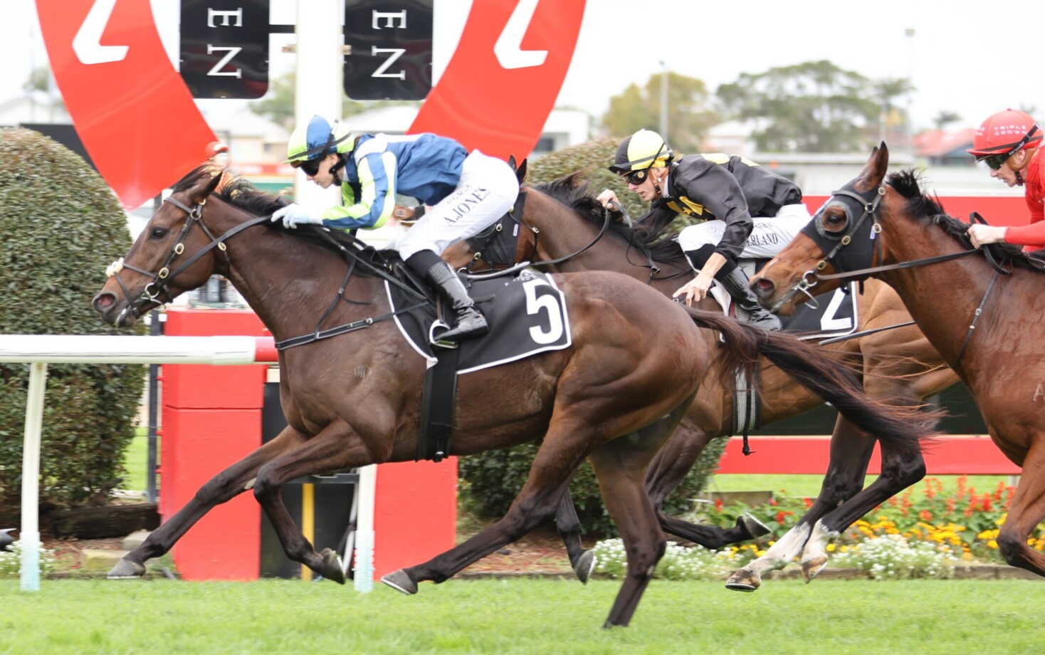 Angela Jones takes commanding lead in Brisbane Jockey’s Premiership ...