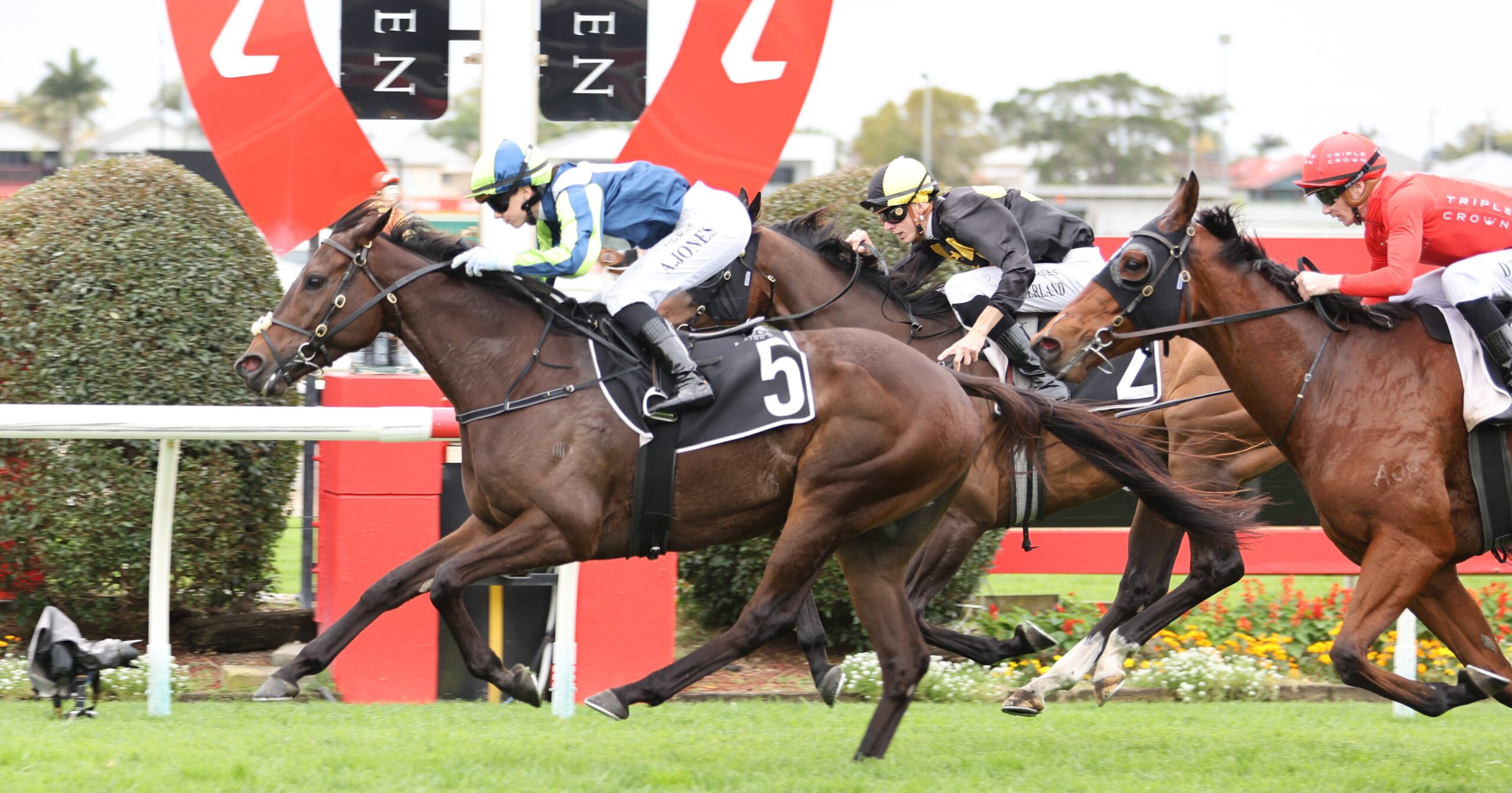 Angela Jones takes commanding lead in Brisbane Jockey’s Premiership ...