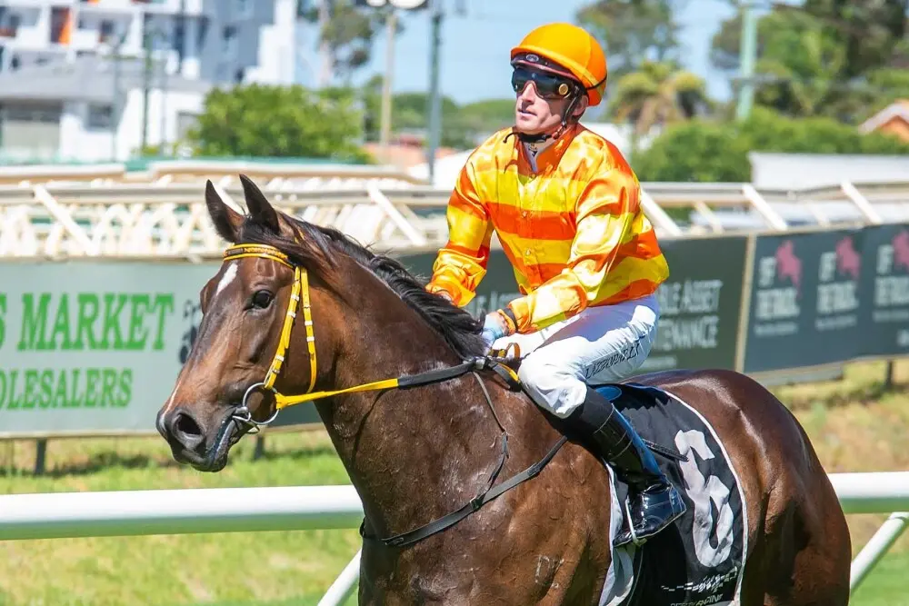 Azzopardi excited by Snow God’s return | Just Horse Racing
