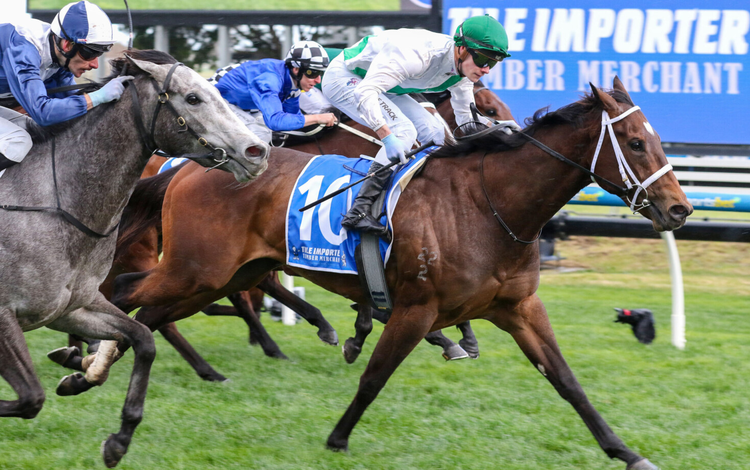 Phillip Stokes eyeing Adelaide Carnival with Ferivia | Just Horse Racing
