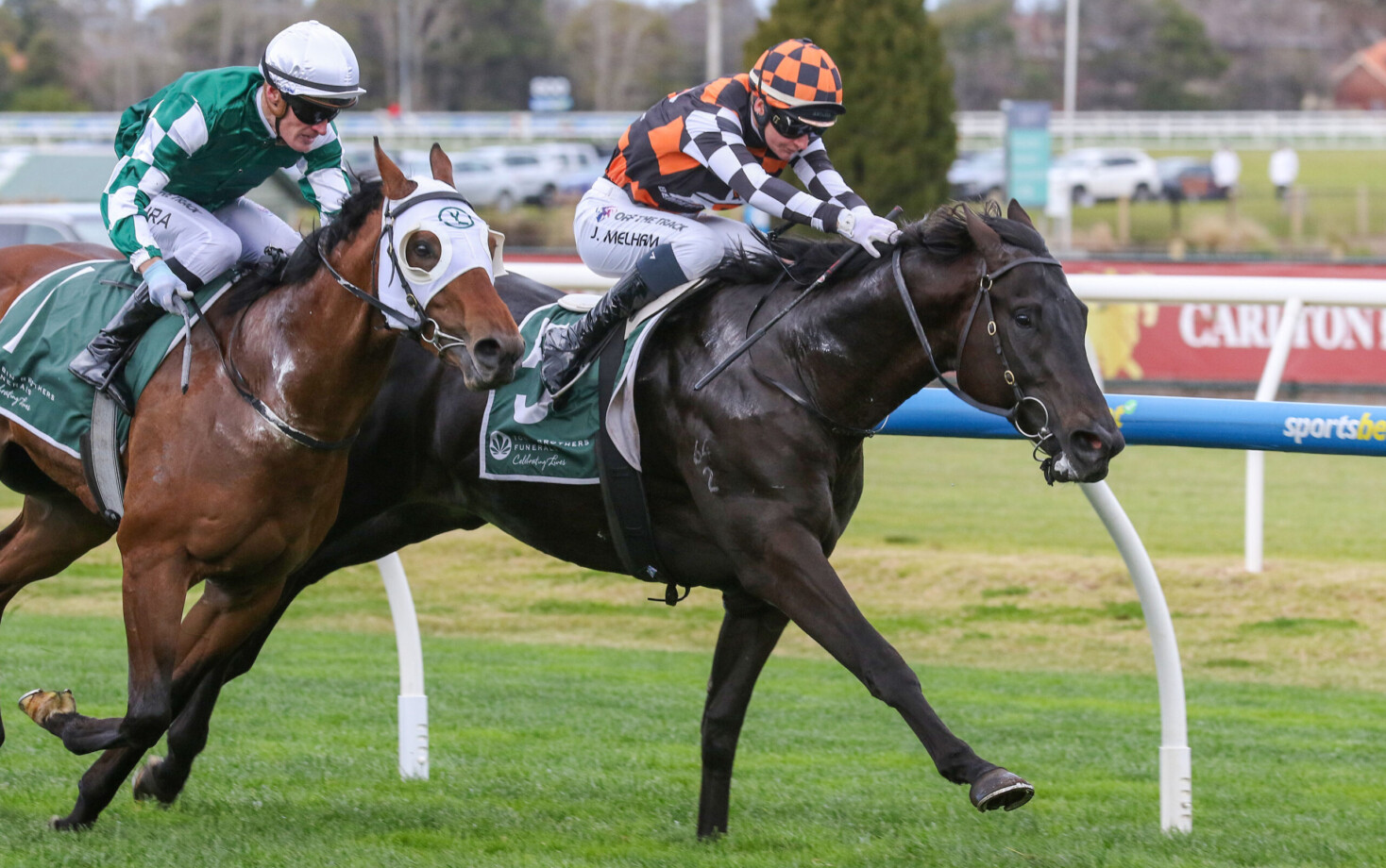 Smart colt to tackle Australia Stakes | Just Horse Racing