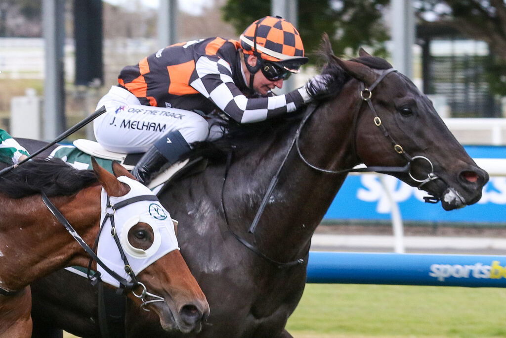Jimmy Recard digs in to win Vain Stakes | Just Horse Racing