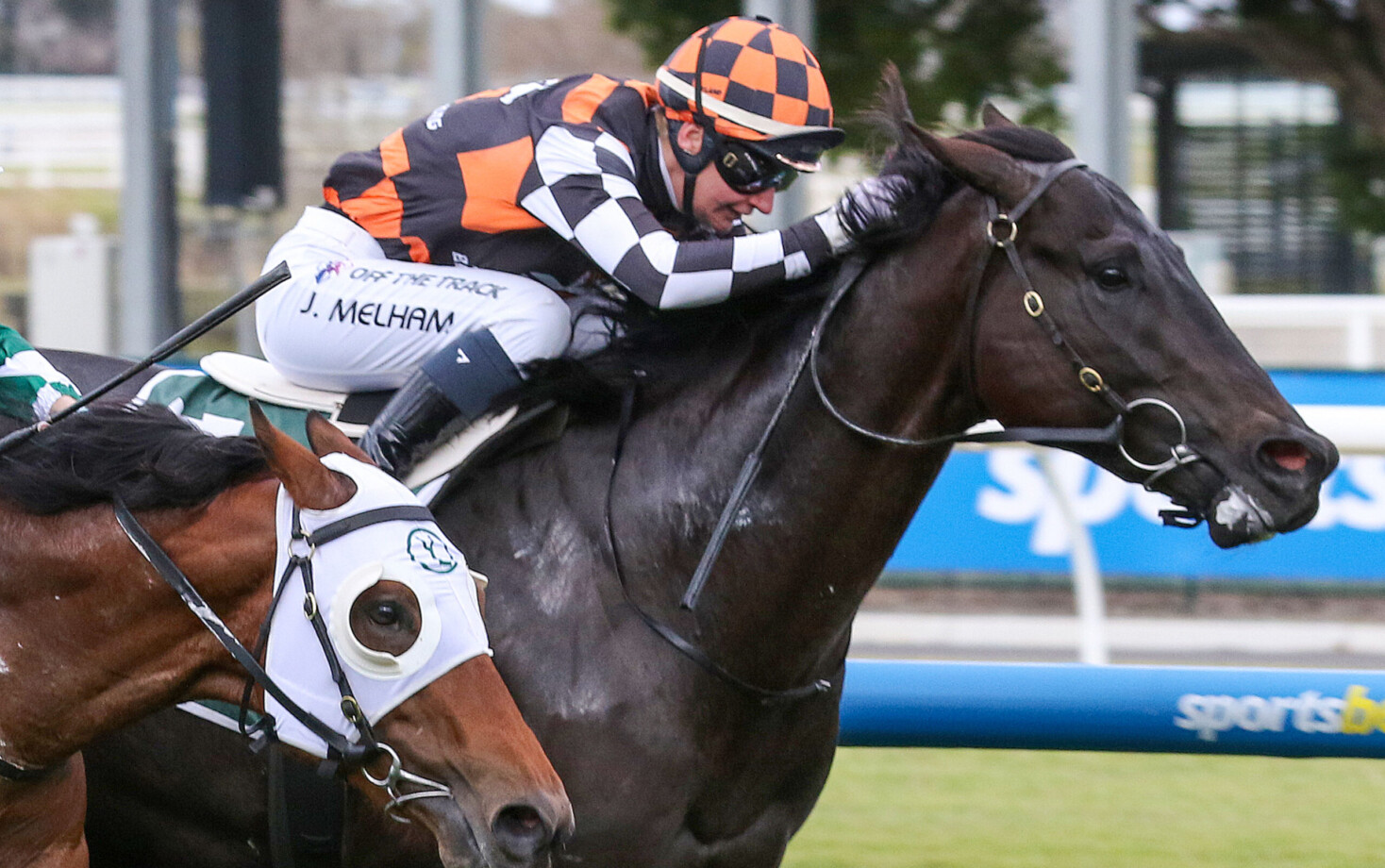 Jimmy Recard digs in to win Vain Stakes | Just Horse Racing