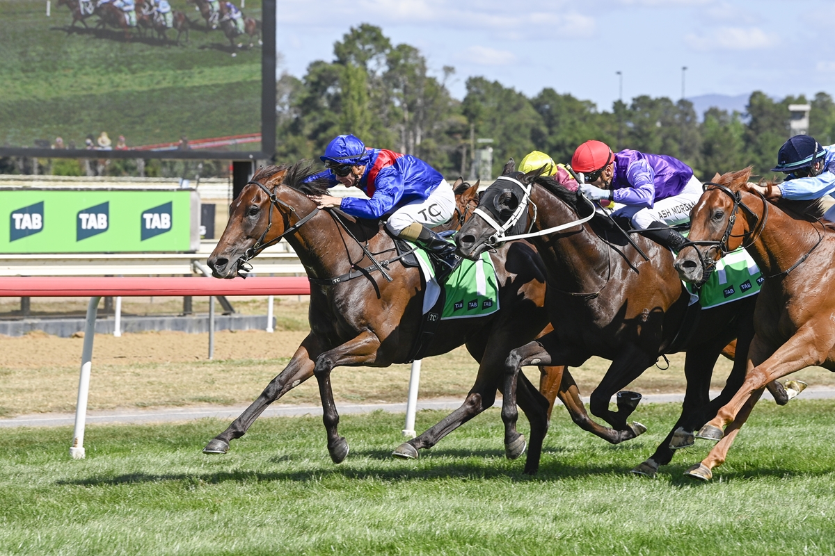 Hawkesbury Cup 2026 – Tips, Field, Betting, Odds and Horse Previews ...