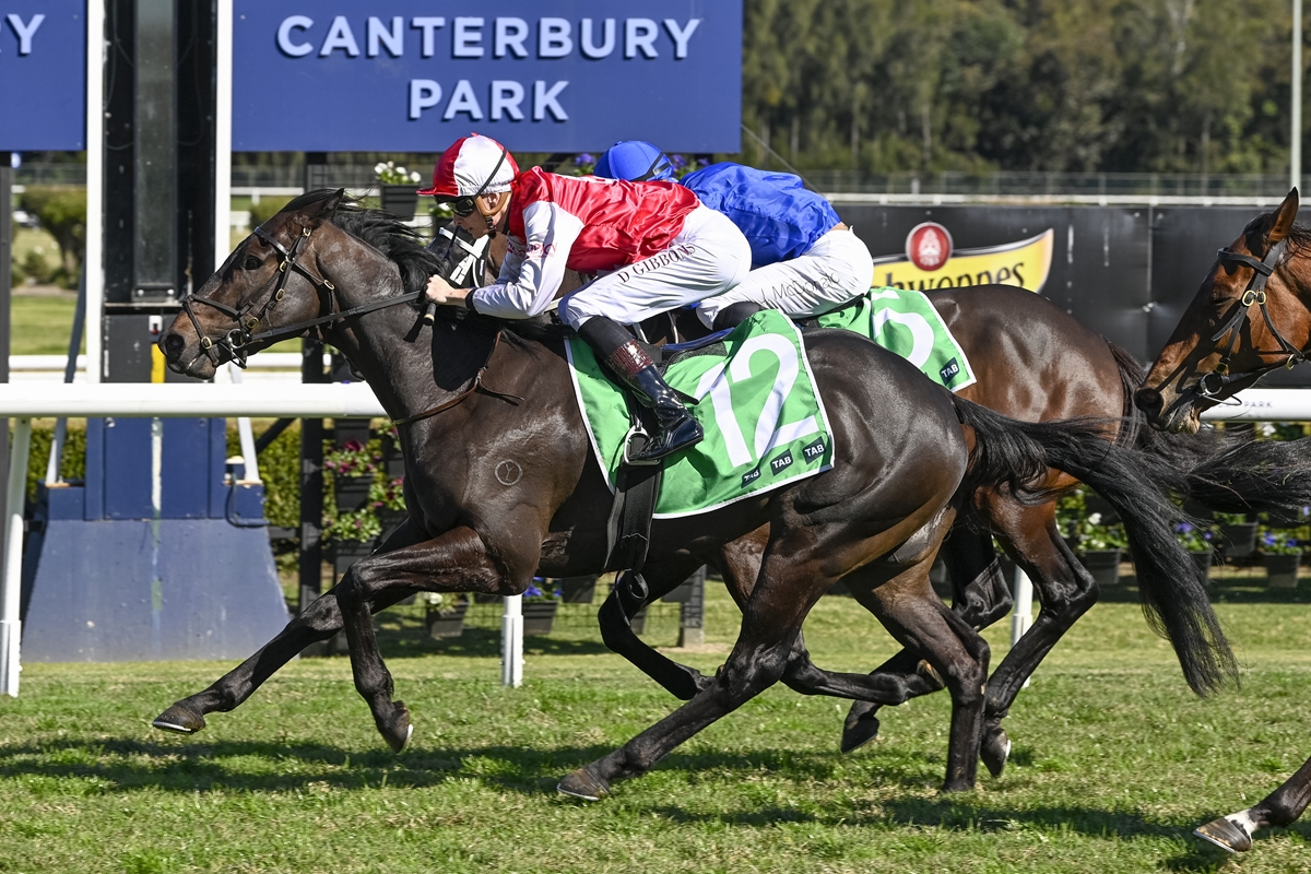 Tyreek scores a touchdown on debut at Canterbury | Just Horse Racing