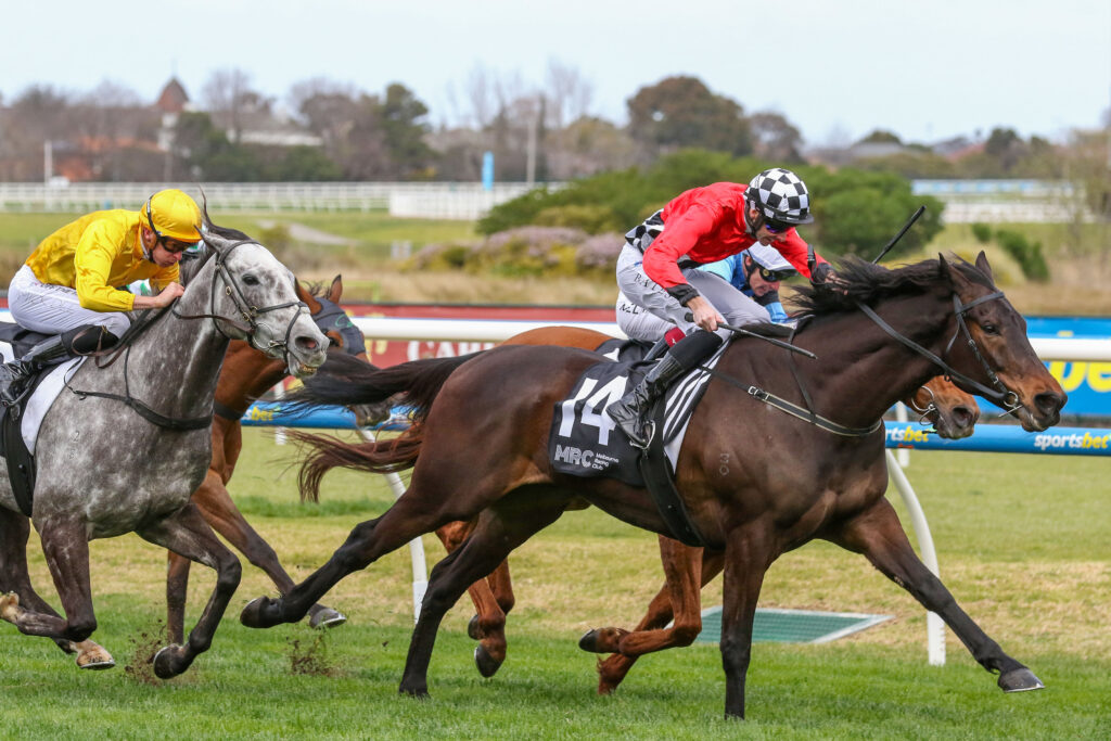 Melbourne Cup noms released, Revelare to chase free pass | Just Horse ...