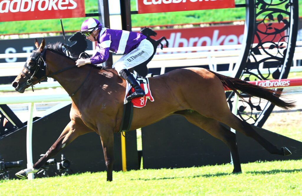 Walsh Bay to chase Queensland Cup after dominant Toowoomba triumph ...