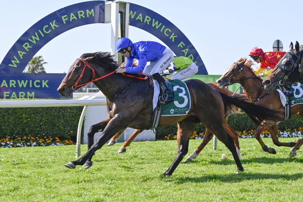 Richly bred colts finish one-two at Warwick Farm | Just Horse Racing