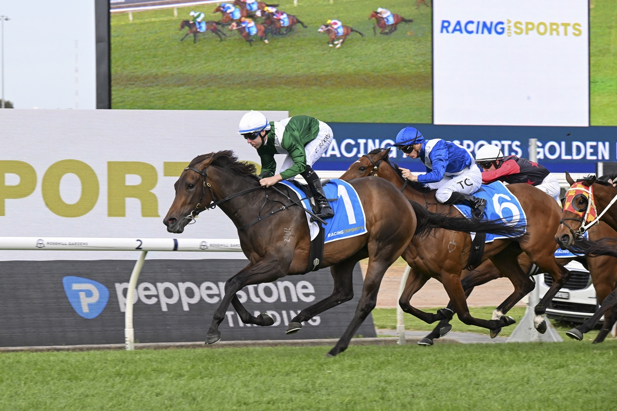 Moreton Cup Field, Tips, Odds, Speed Maps and Horse Previews & Betting ...