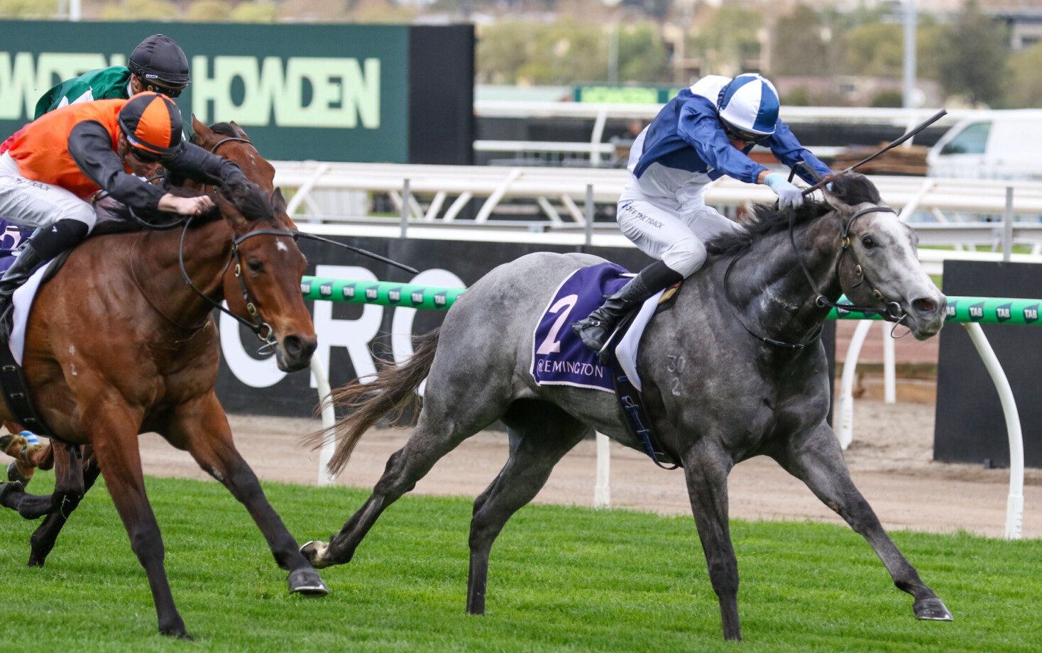 Jamie Mott Glad to get back against the fillies | Just Horse Racing