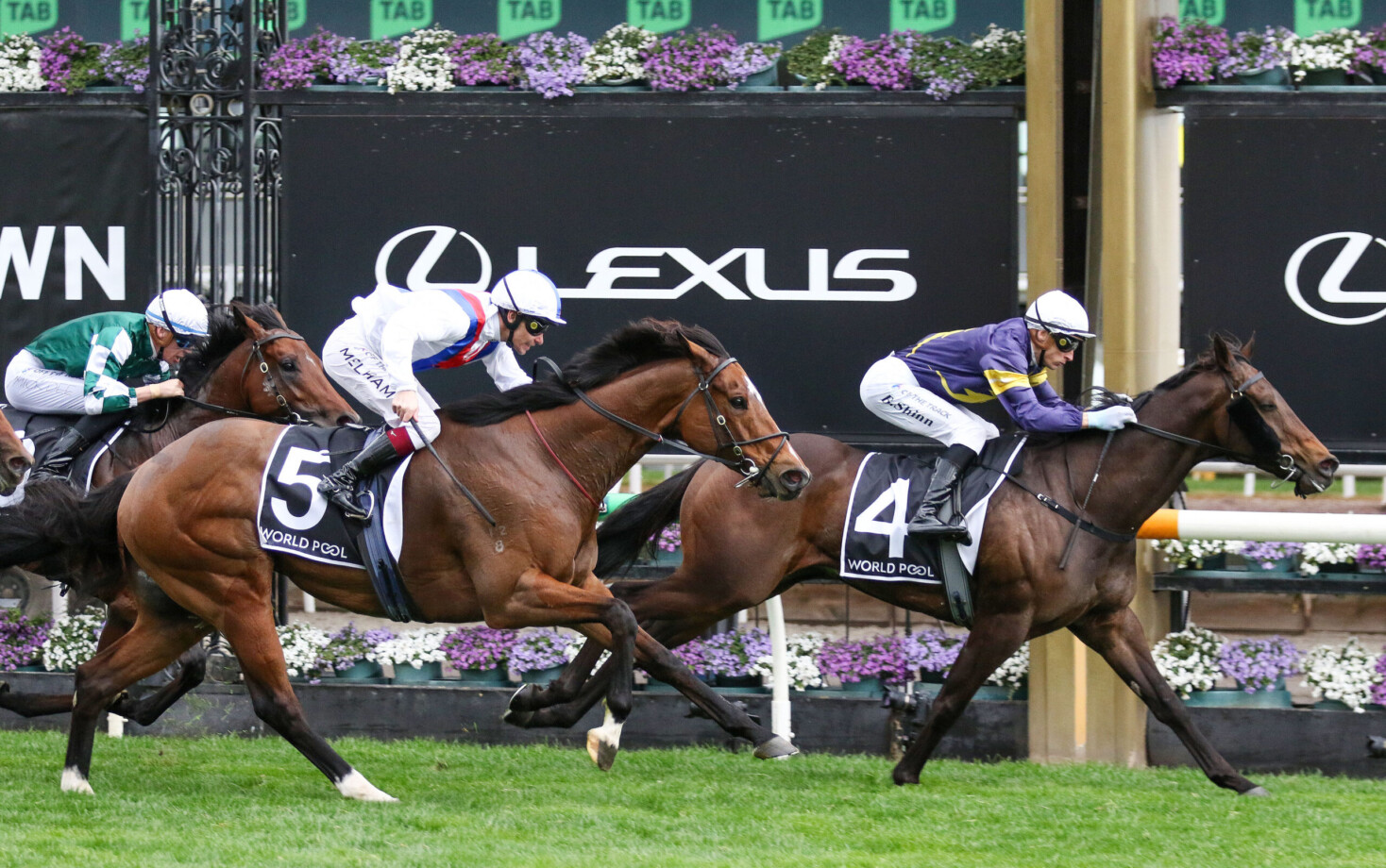 Arkansaw a Kid no longer | Just Horse Racing