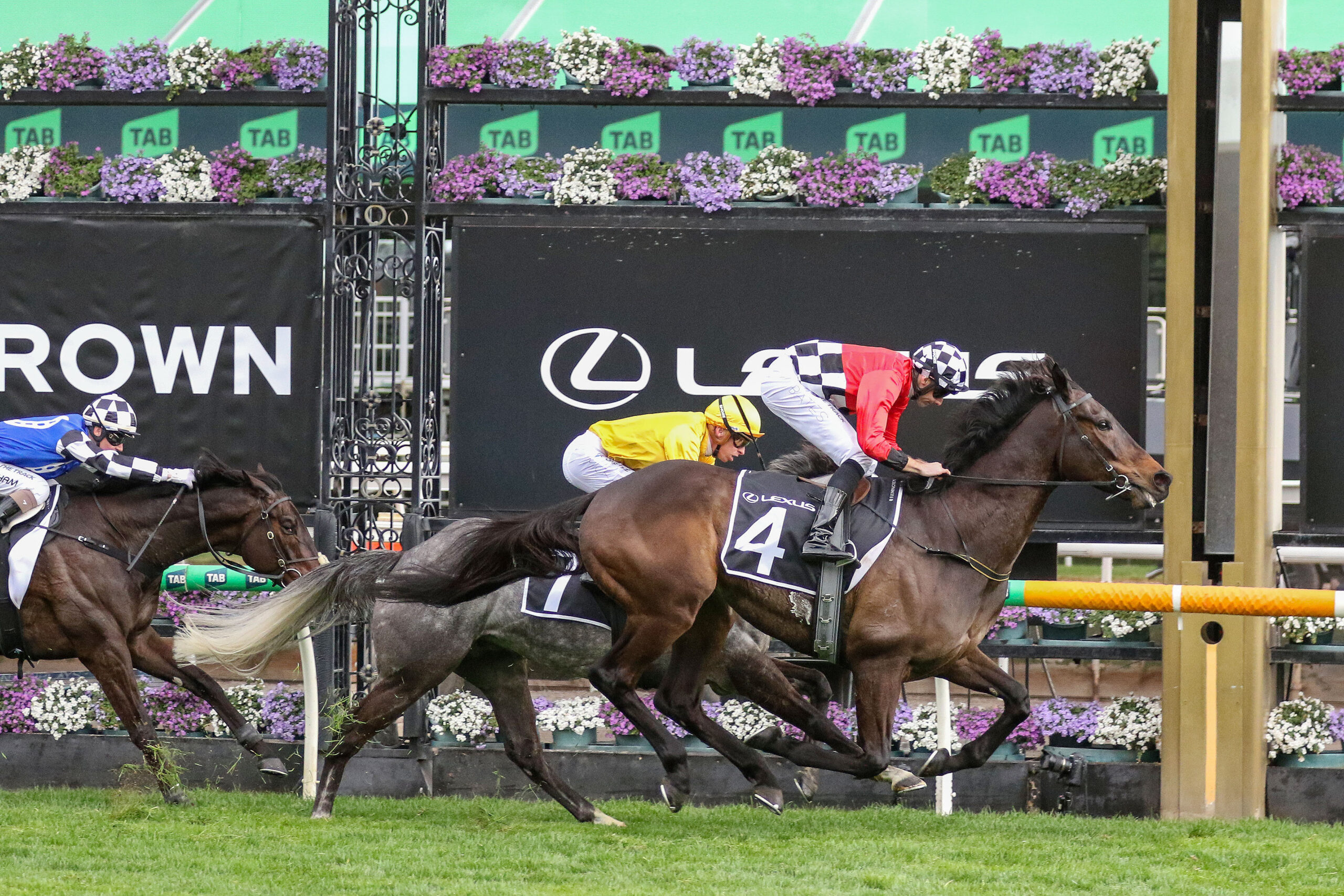 Revelare books Melbourne Cup 2025 berth | Just Horse Racing